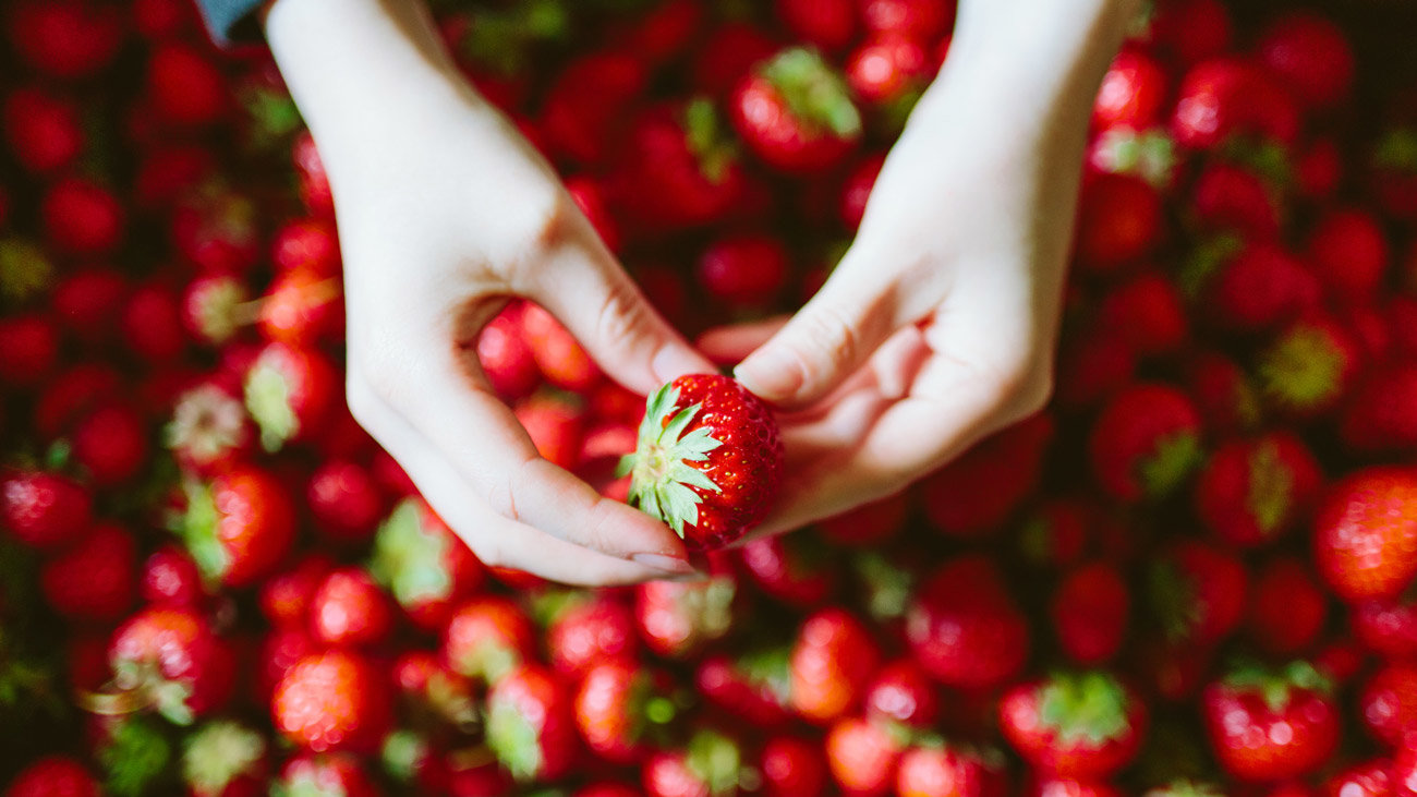 The great Finnish strawberry season has arrived!